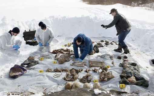 Kommissar Wisting - Kommissar Wisting - Eisige Schatten | Jetzt aufnehmen!