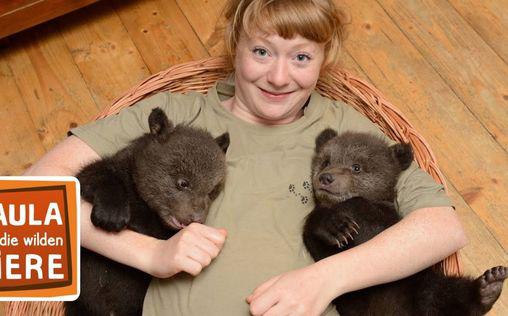 Paula und die wilden Tiere - Paula und die wilden Tiere | Jetzt aufnehmen!